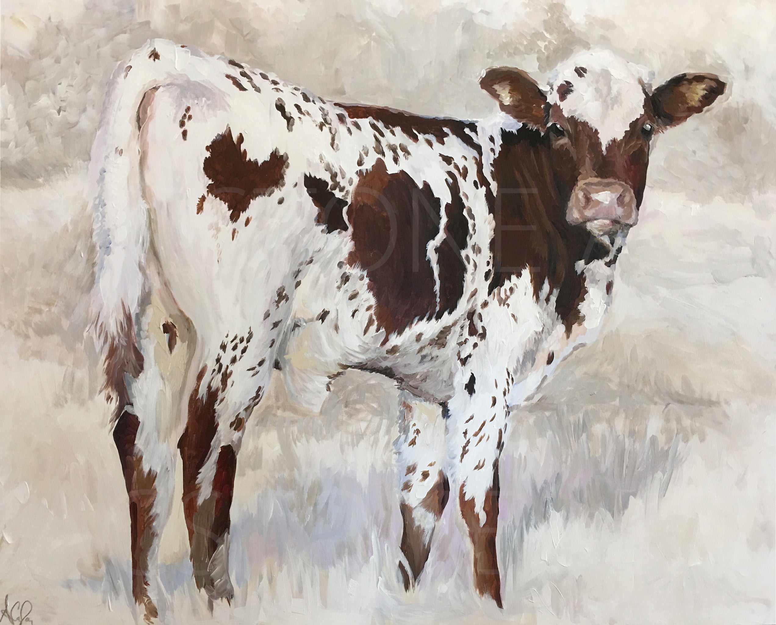 Boom Boom Concho- Art Print – Jacstone Art