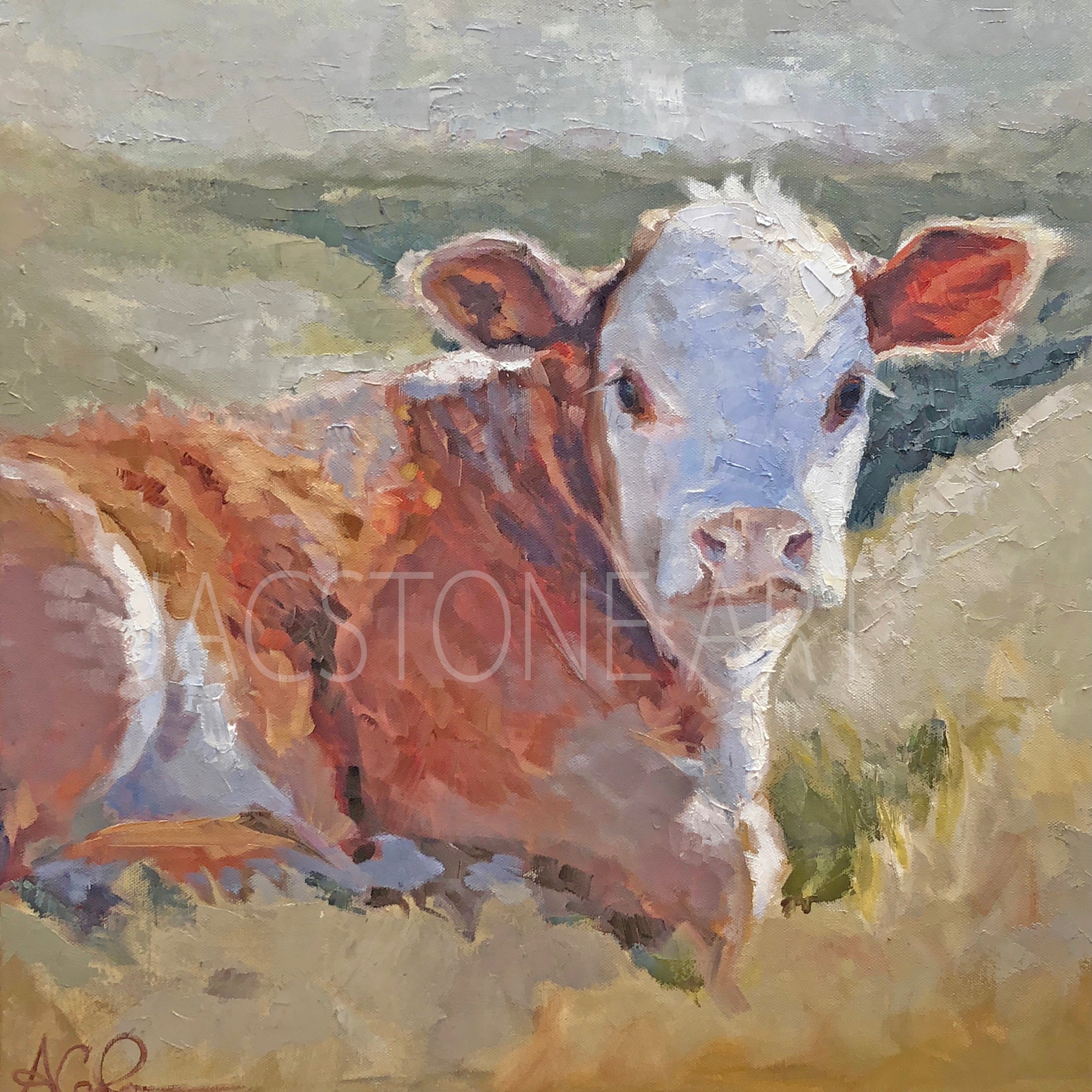 Buckaroo at Twin Canyons- Art Print – Jacstone Art